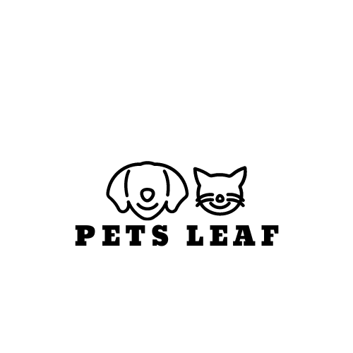 Expert Cat Care Tips For Cat Parents | Pets Leaf